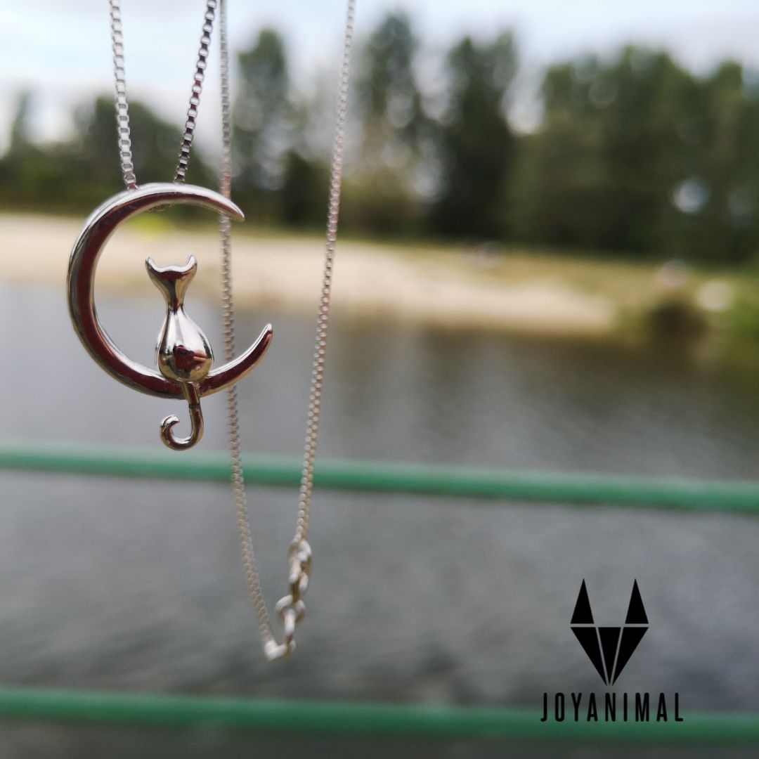 😻 Collar de plata de ley con Luna y Gato colgante. – JOYANIMAL